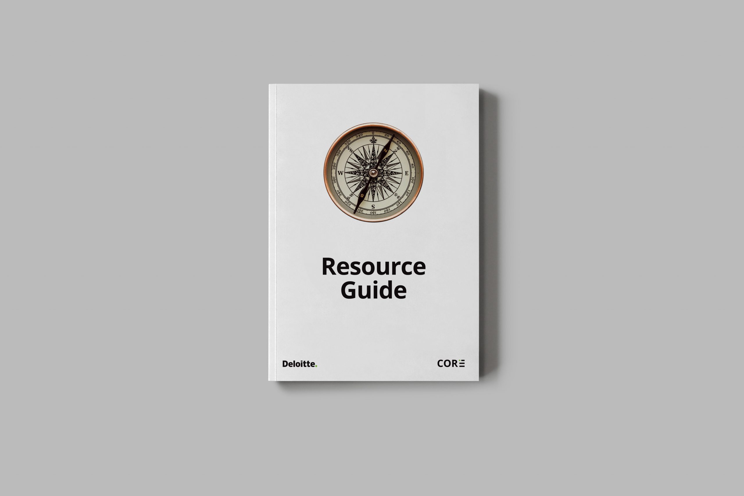Deloitte Resource Guide - Envy Design Co.