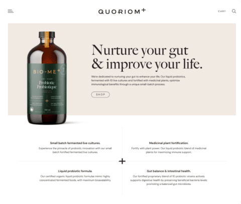 Website Design Toronto | Envy Design Co.